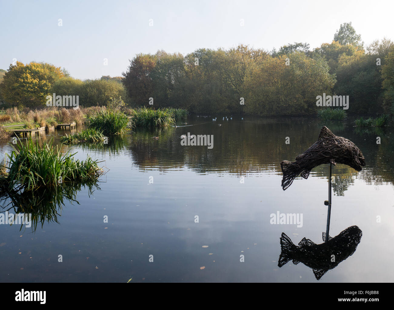 Fish sculpture at Burrs Country Park, Bury, Lancashire Stock Photo - Alamy