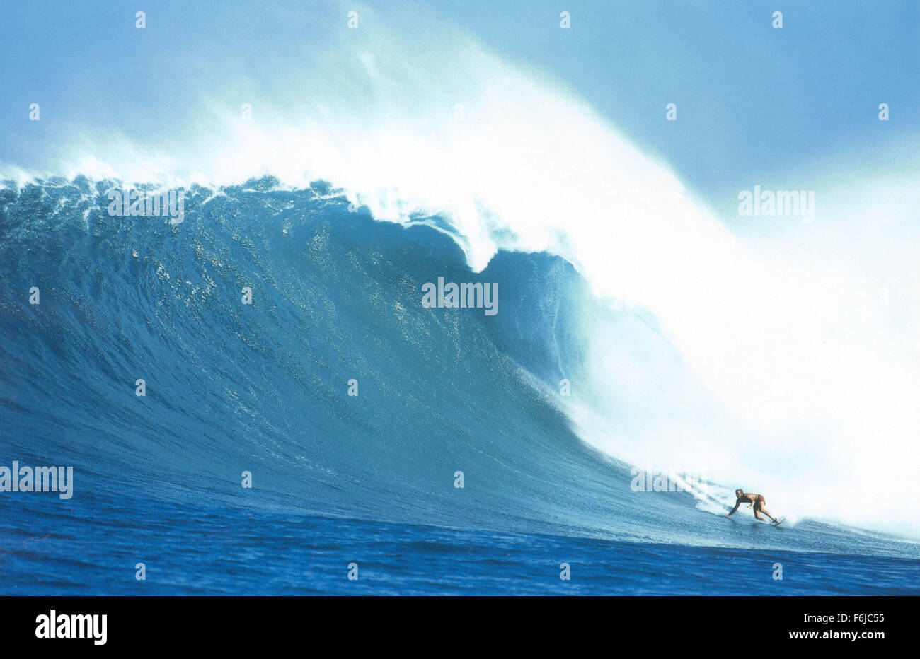 RELEASE DATE: June 11, 2004. MOVIE TITLE: Riding Giants. STUDIO ...