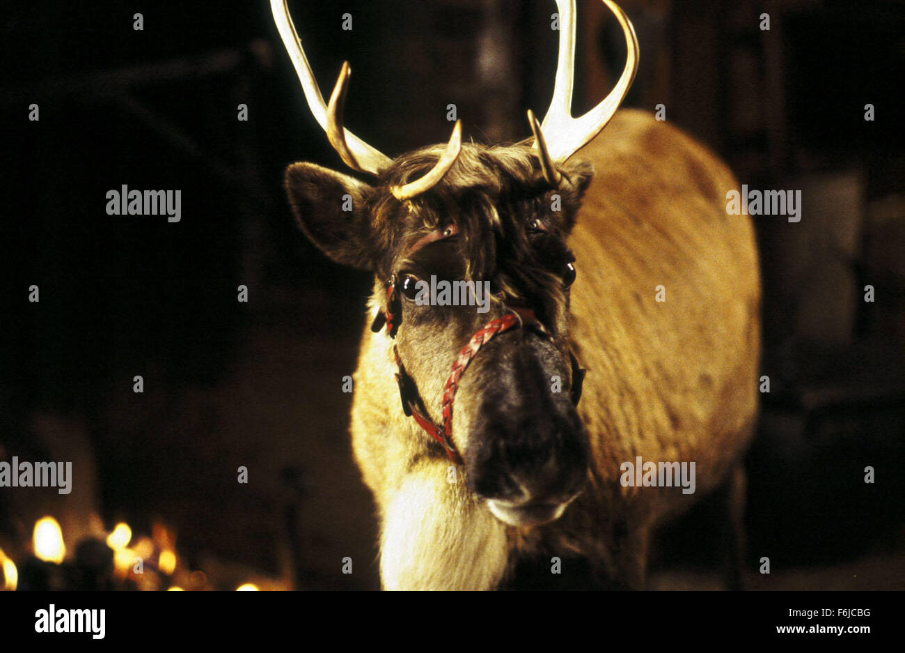 Oct 16, 2003; Toronto, ON, Canada; Scene from the family movie ...