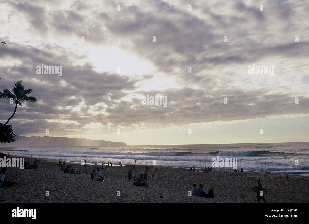 RELEASE DATE: January 30, 2004. MOVIE TITLE: The Big Bounce. STUDIO ...