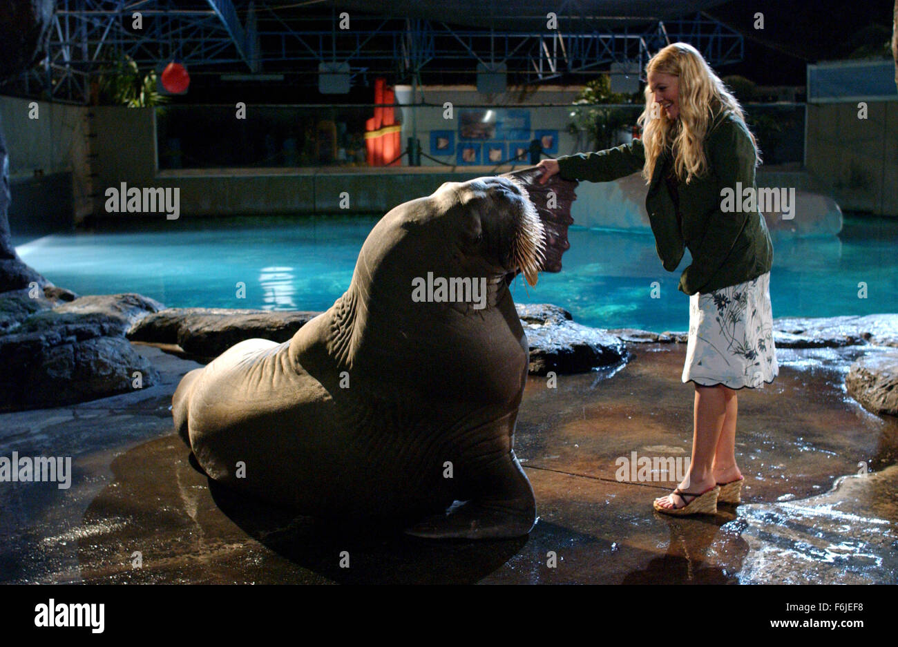 RELEASE DATE: February 15, 2004. MOVIE TITLE: 50 First Dates. STUDIO ...