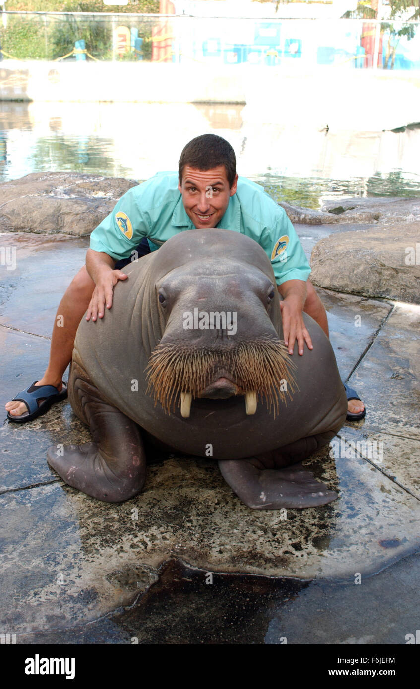 RELEASE DATE: February 15, 2004. MOVIE TITLE: 50 First Dates. STUDIO ...