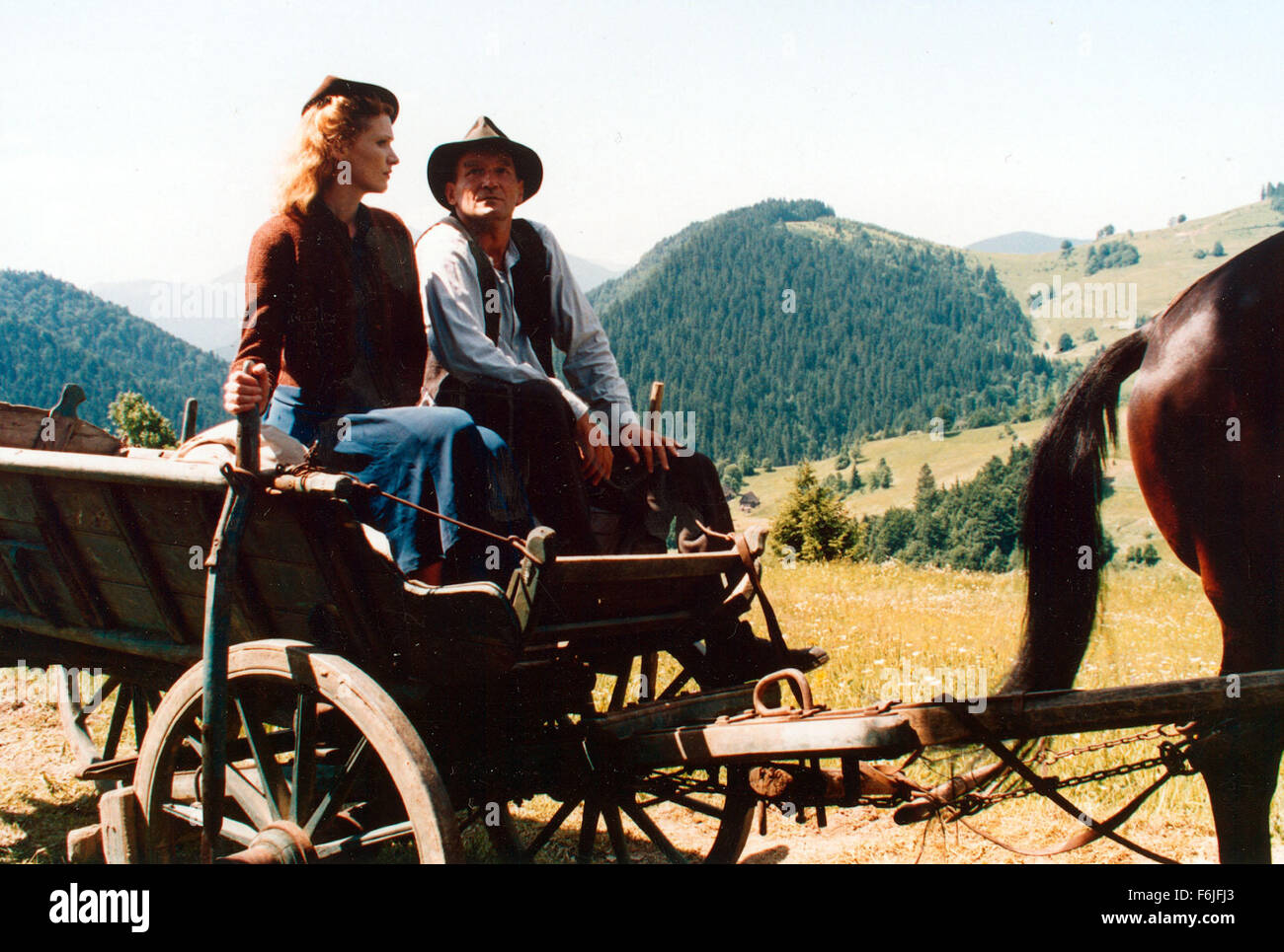 Zelary hi-res stock photography and images - Alamy