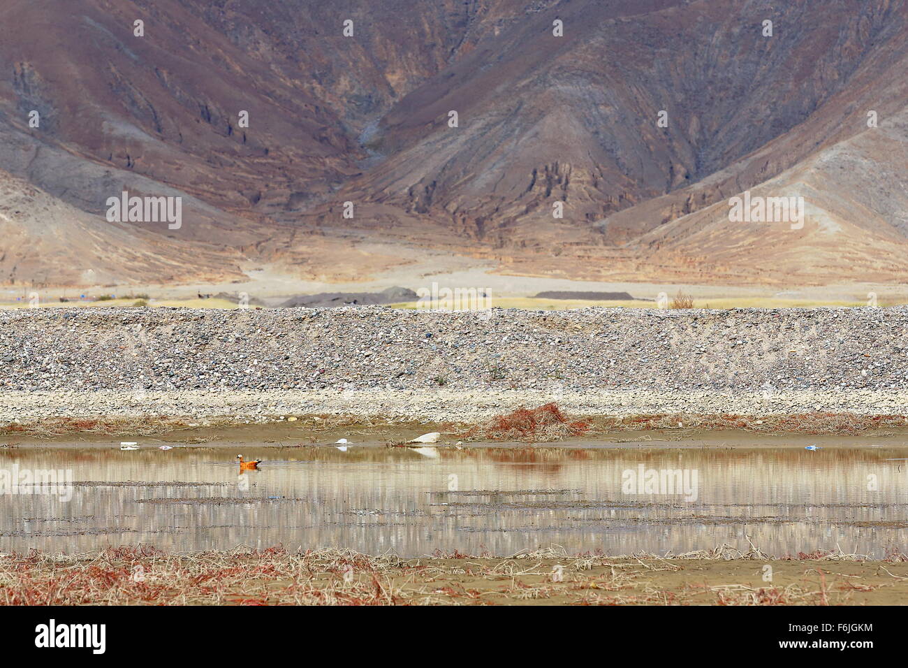 Ngur pa hi-res stock photography and images - Alamy