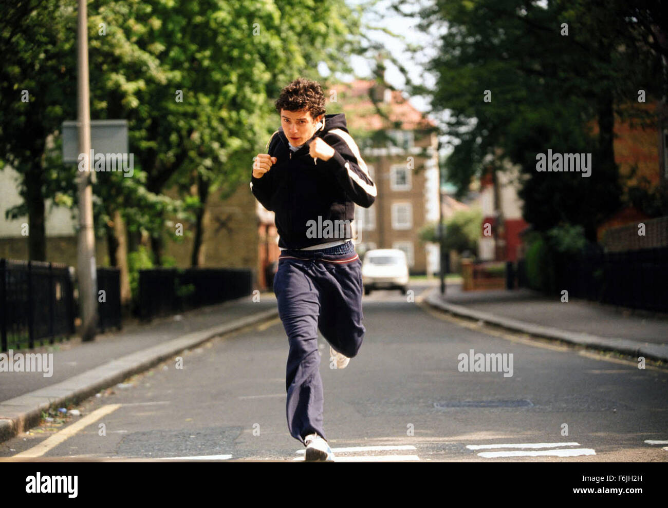 RELEASE DATE: October 17, 2005. MOVIE TITLE: The Calcium Kid. STUDIO ...