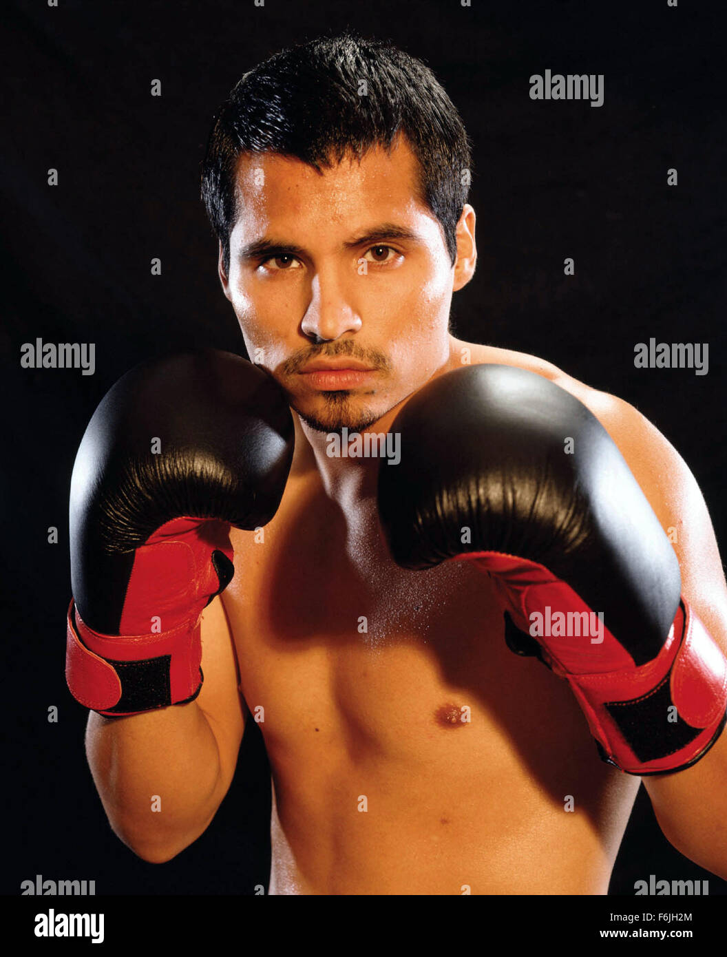 RELEASE DATE: October 17, 2005. MOVIE TITLE: The Calcium Kid. STUDIO ...