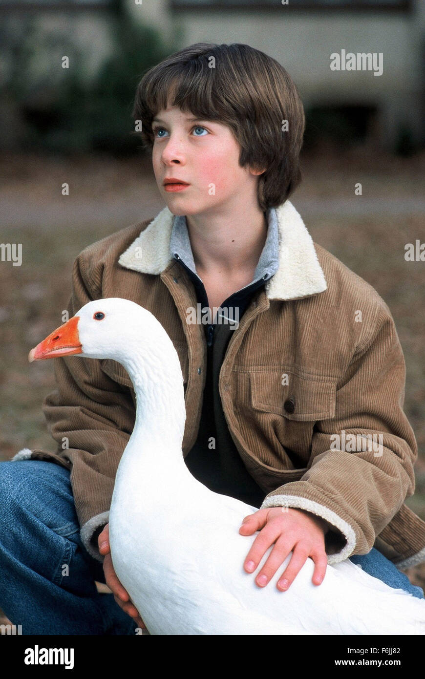 Max morrow hi-res stock photography and images - Alamy