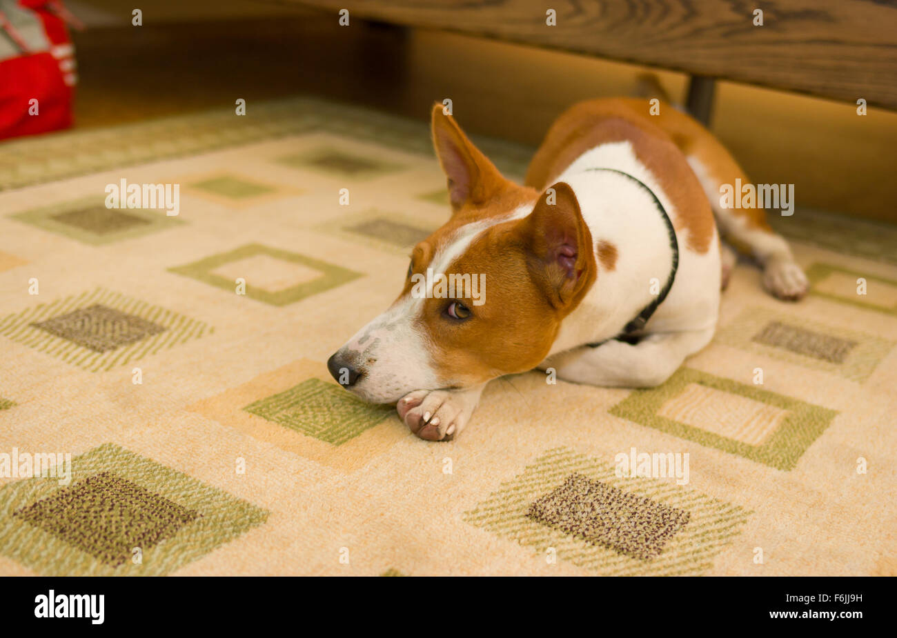 Boring domestic hi-res stock photography and images - Alamy
