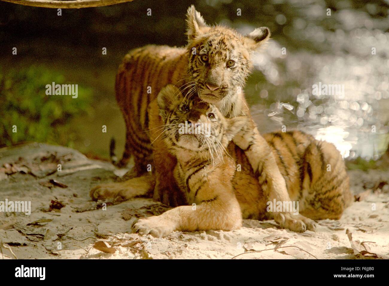 RELEASE DATE: June 25, 2004. MOVIE TITLE: Two Brothers. STUDIO: Pathe ...