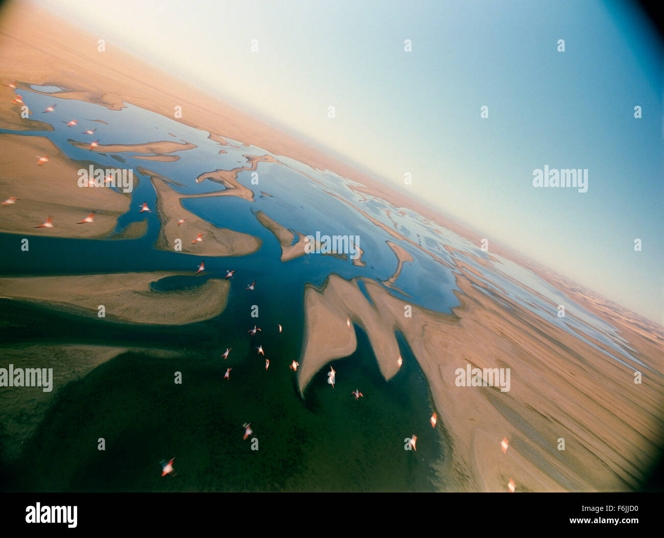 RELEASE DATE: April 22, 2004. MOVIE TITLE: Sacred Planet. STUDIO ...