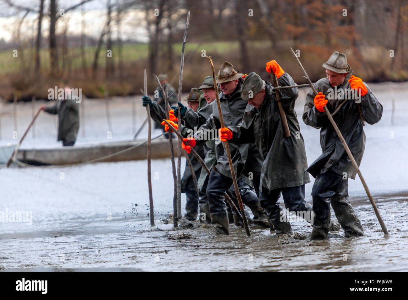 Worker harvesting fish in hi-res stock photography and images - Alamy
