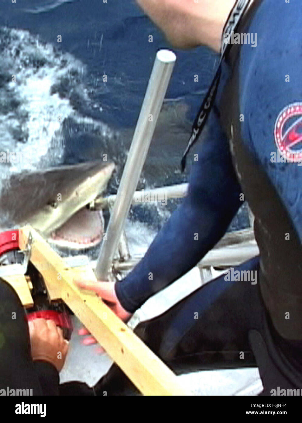 RELEASE DATE: August 20, 2004. MOVIE TITLE: Open Water. STUDIO: Lions ...