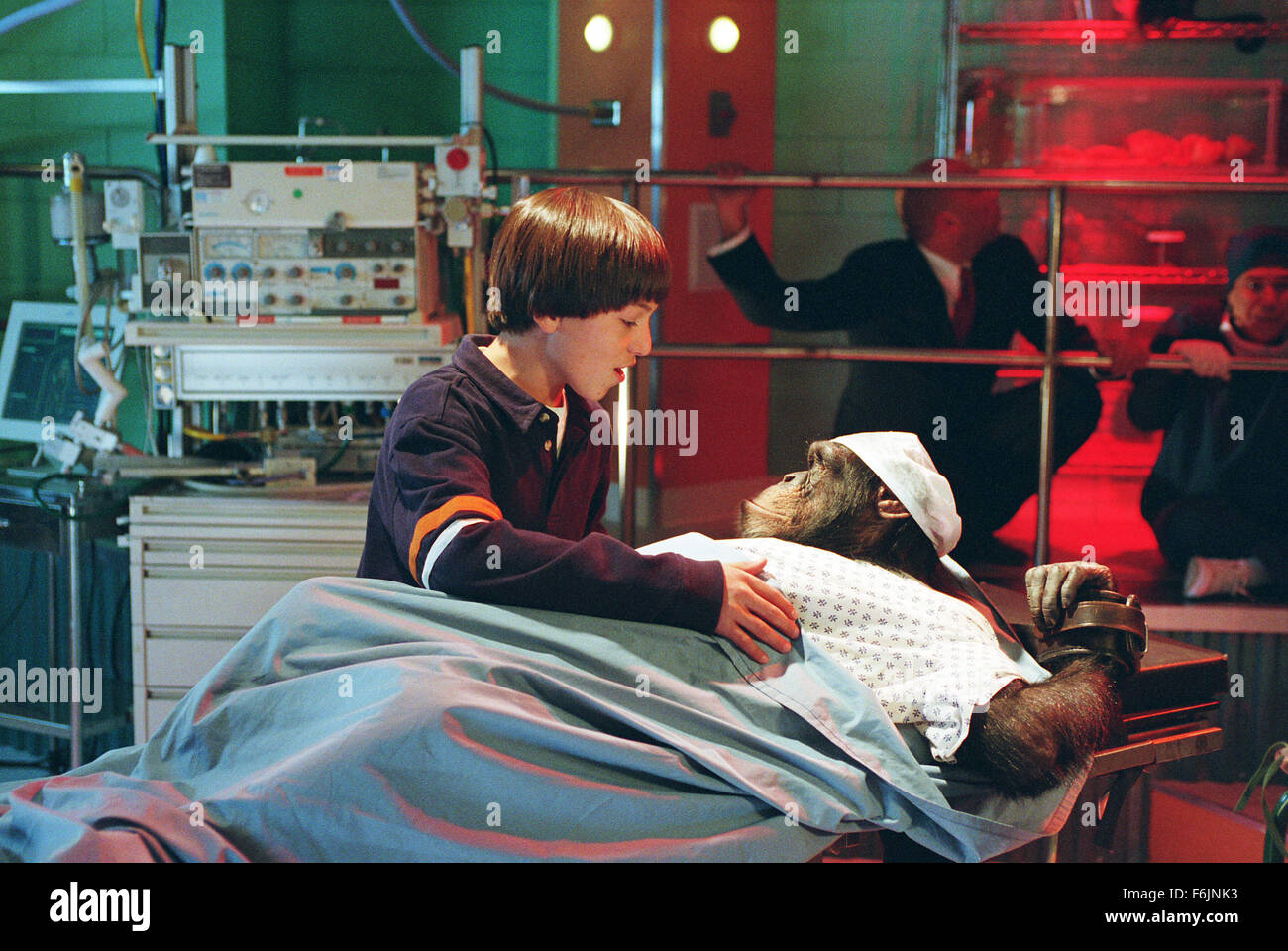 RELEASE DATE: September 17, 2004. MOVIE TITLE: Funky Monkey. STUDIO ...