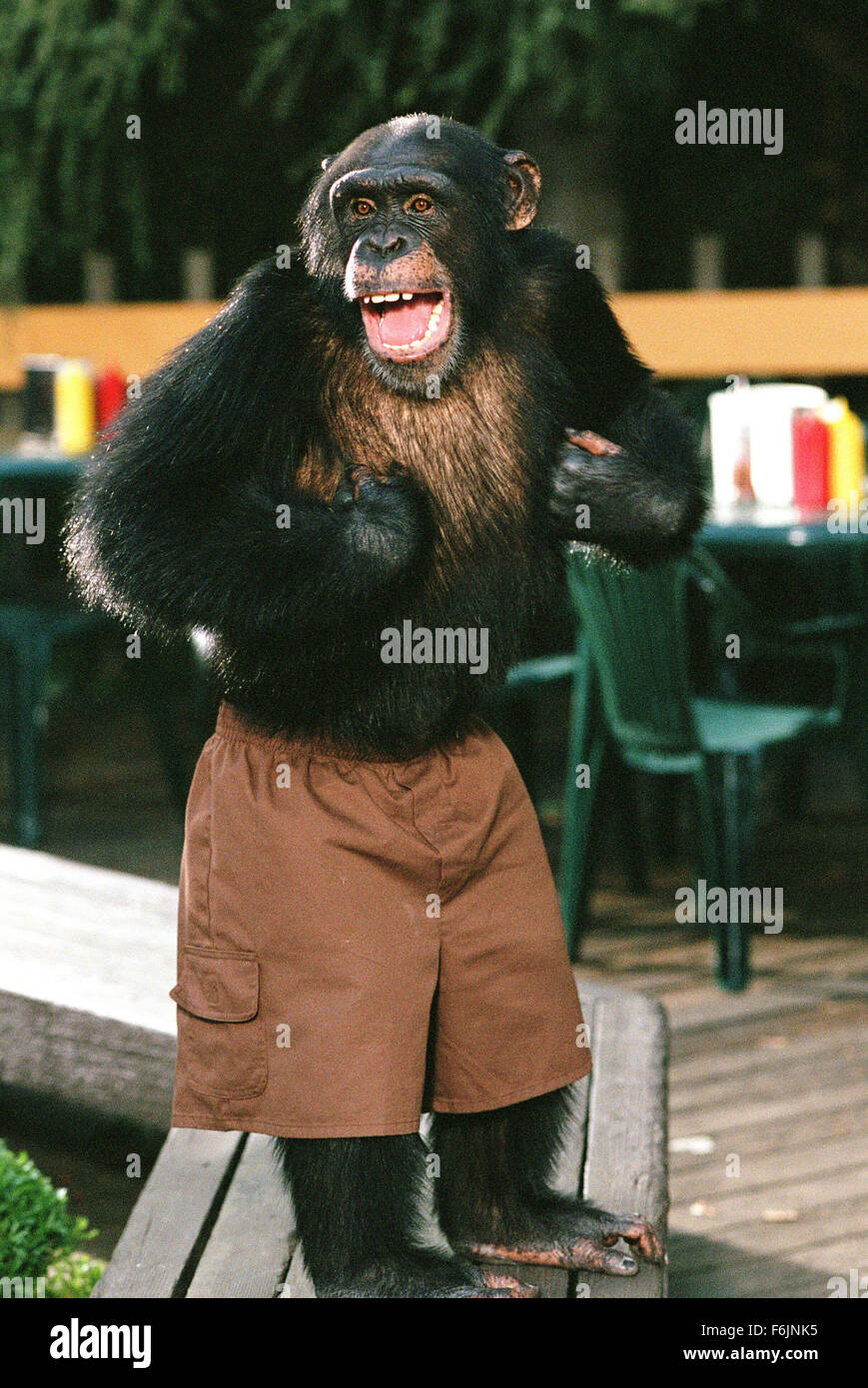 Funky monkey hi-res stock photography and images - Alamy