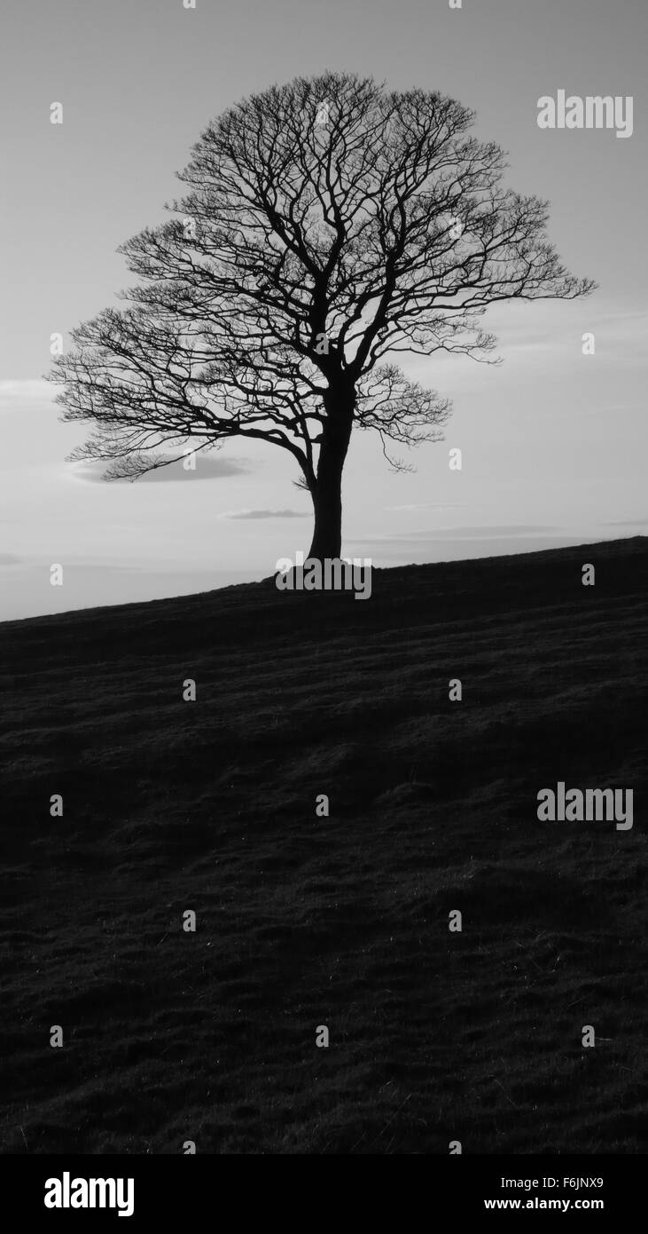 Roaches staffordshire Black and White Stock Photos & Images - Alamy