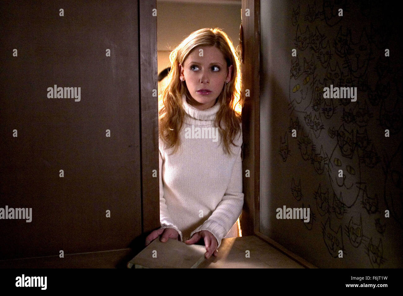 RELEASE DATE: October 22, 2004. MOVIE TITLE: The Grudge. STUDIO ...