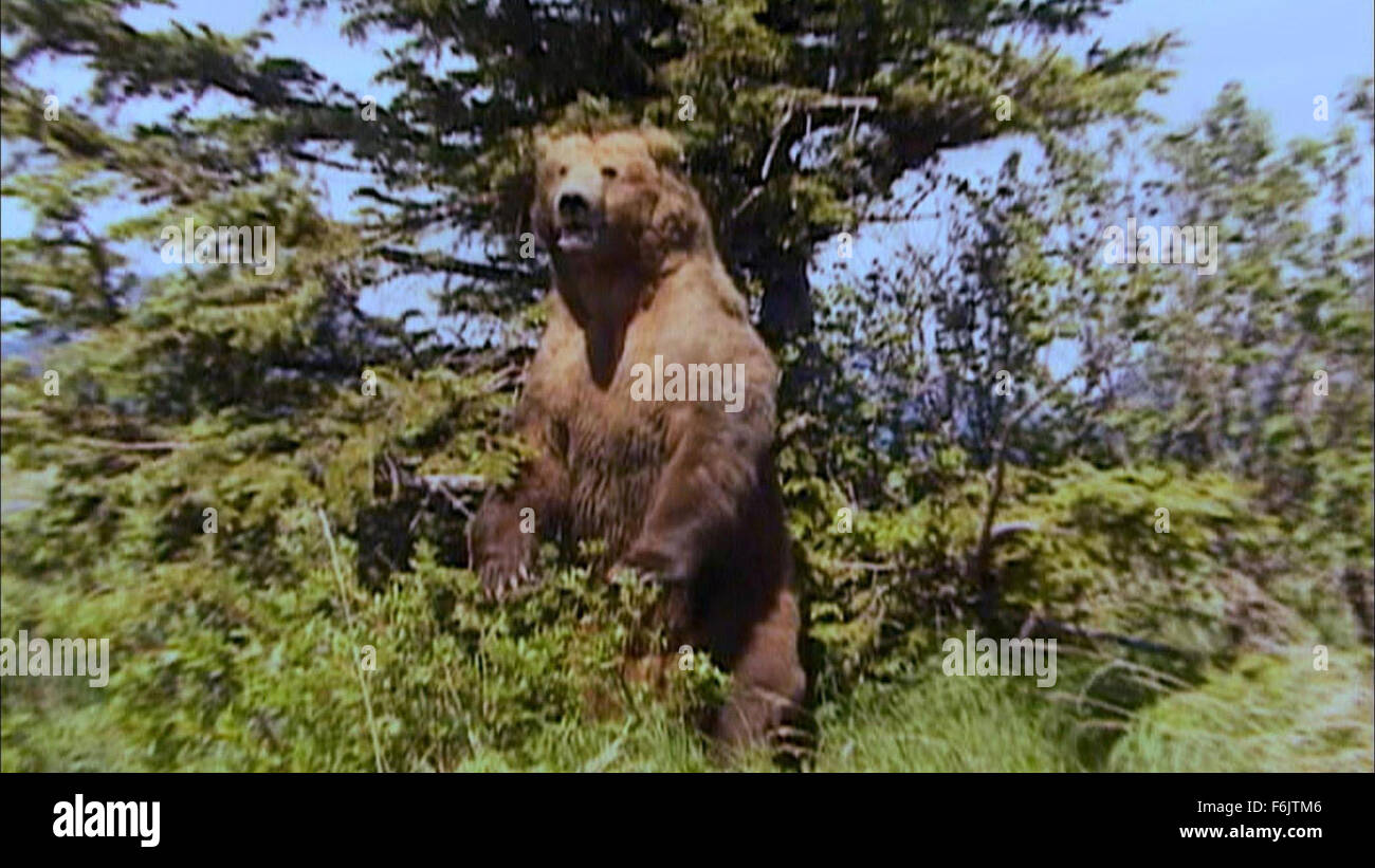 Timothy Treadwell Grizzly Man