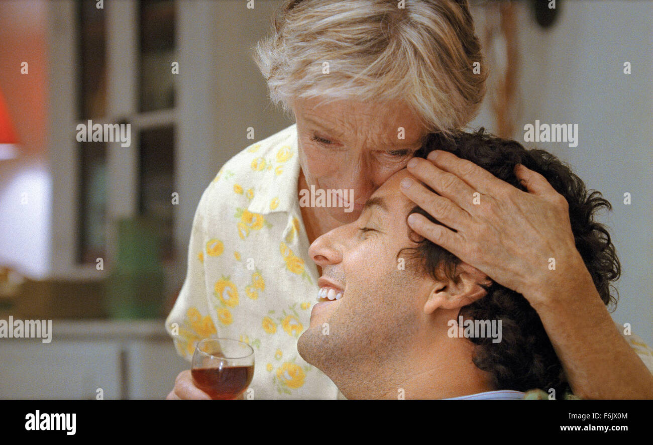 RELEASE DATE: December 17, 2004. MOVIE TITLE: Spanglish. STUDIO ...