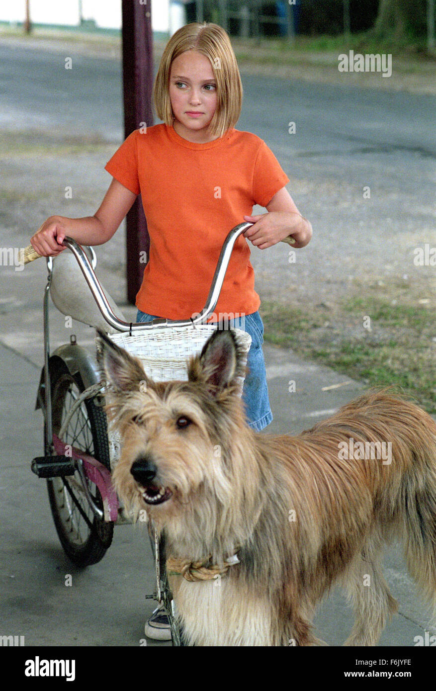 Because Of Winn Dixie Movie Characters