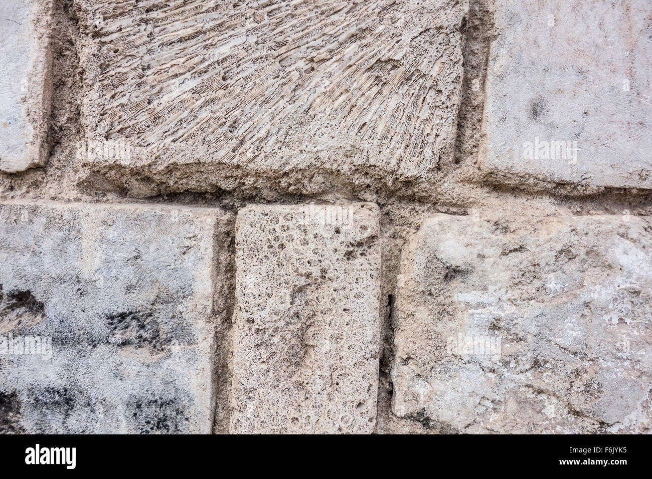 Blocks of solid coral were used to construct this wall of the Jaffna ...