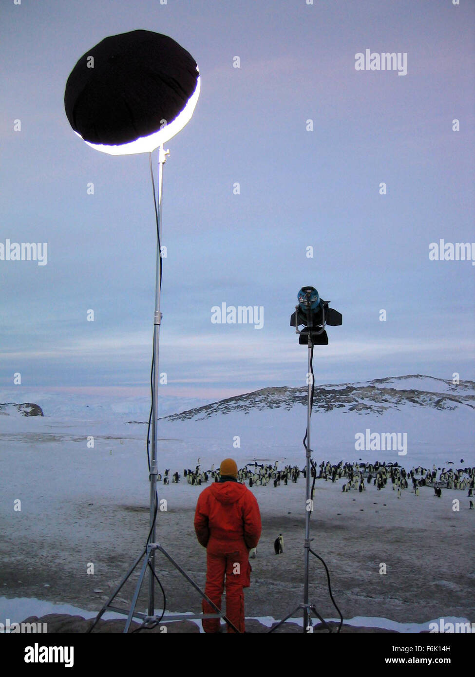 RELEASE DATE: July 22, 2005. MOVIE TITLE: March of the Penguins. STUDIO ...