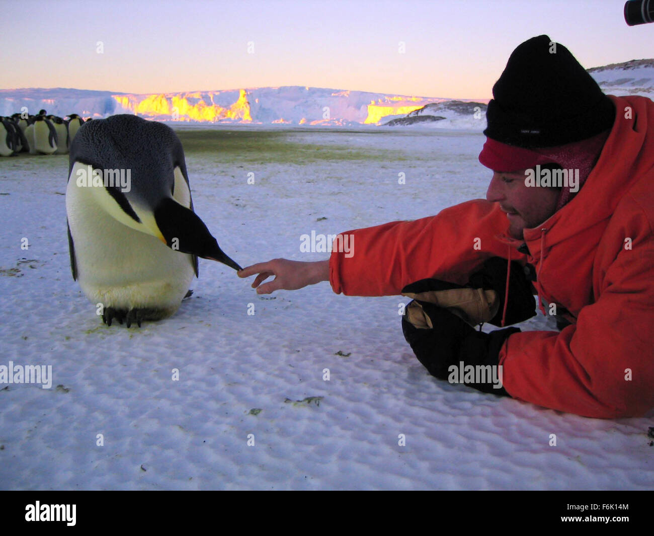RELEASE DATE: July 22, 2005. MOVIE TITLE: March of the Penguins. STUDIO ...