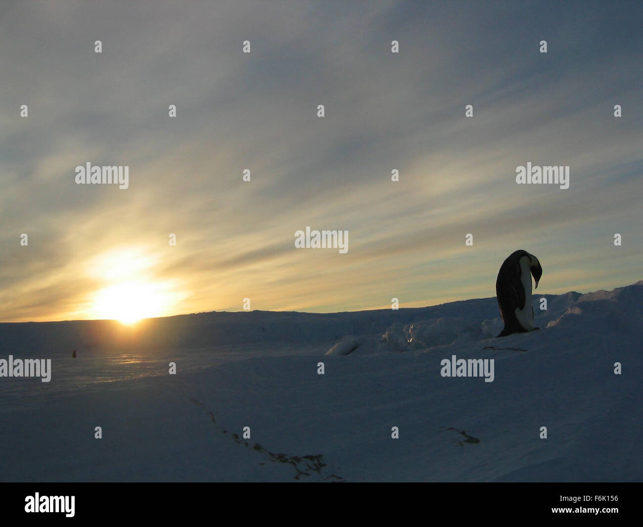 RELEASE DATE: July 22, 2005. MOVIE TITLE: March of the Penguins. STUDIO ...