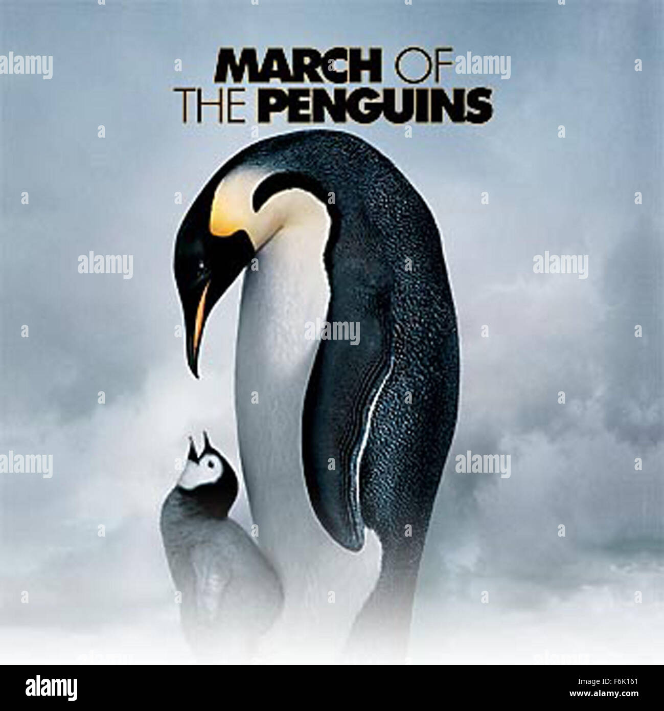 RELEASE DATE: July 22, 2005. MOVIE TITLE: March of the Penguins. STUDIO ...