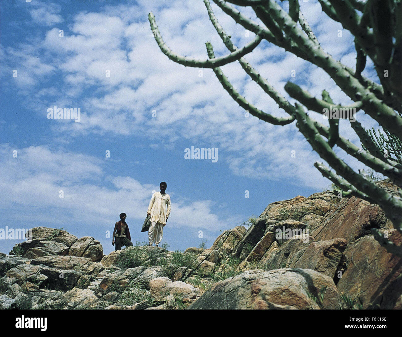 RELEASE DATE: July 15, 2005. MOVIE TITLE: The Warrior. STUDIO: FilmFour ...