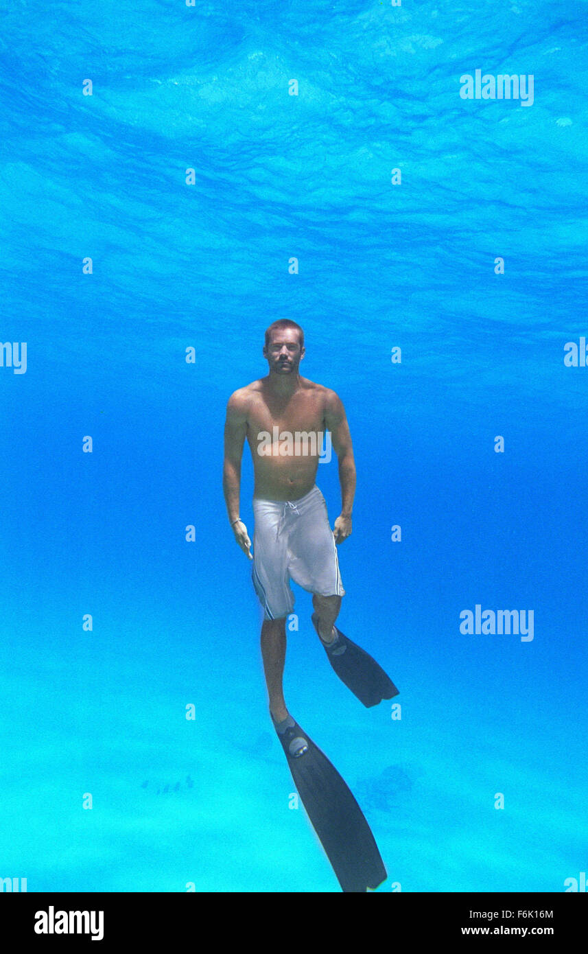 RELEASE DATE: September 30, 2005. MOVIE TITLE: Into the Blue. STUDIO ...
