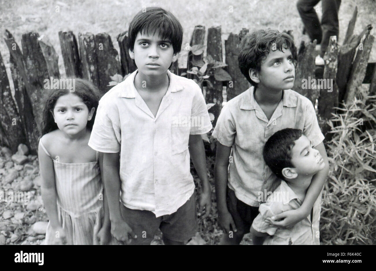 RELEASE DATE: July 13, 2006. MOVIE TITLE: Two Sons of Francisco. STUDIO ...