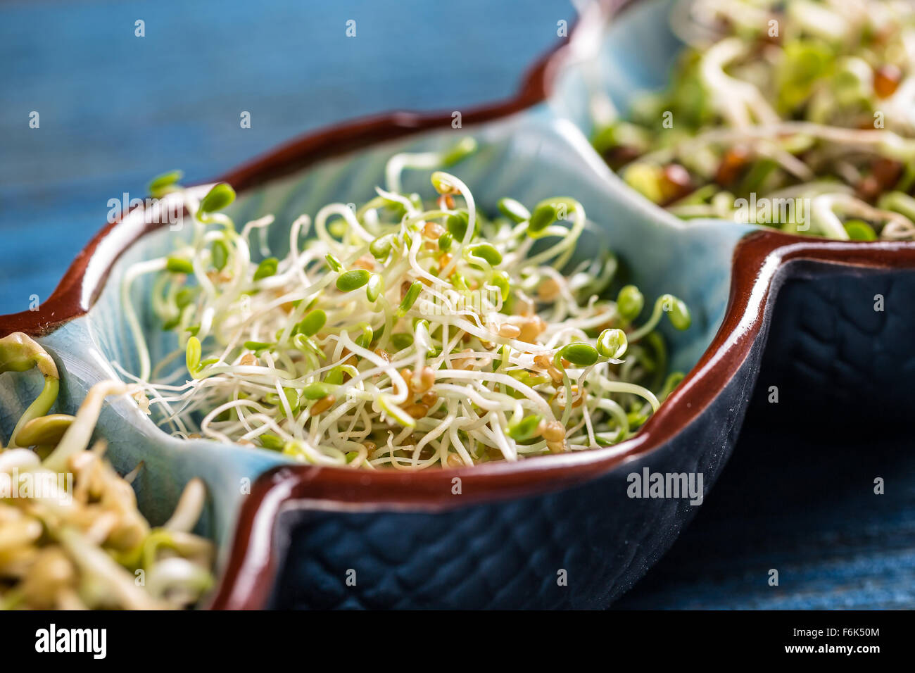 Red clover sprout in small bowl Stock Photo - Alamy
