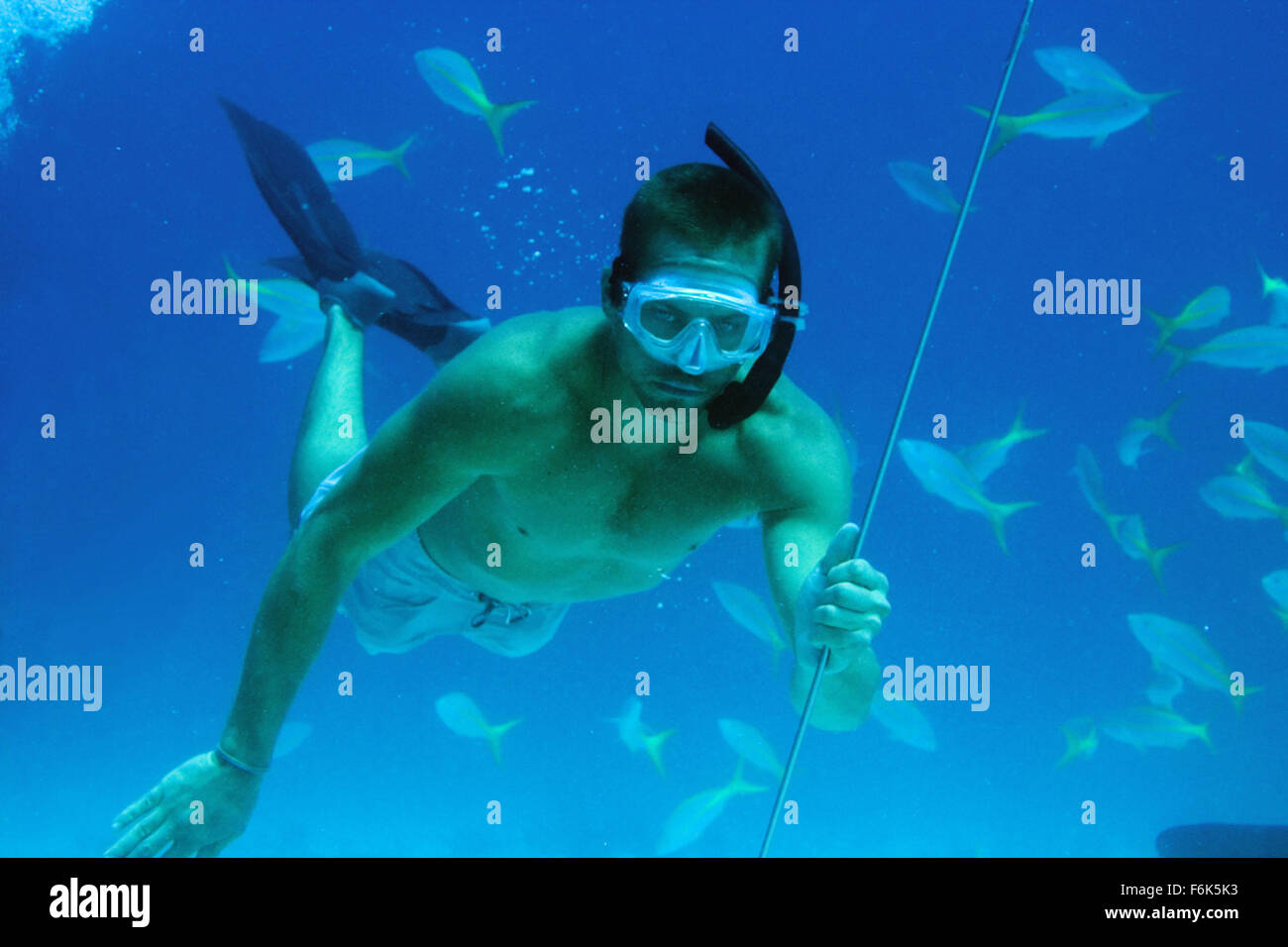 RELEASE DATE: September 30, 2005. MOVIE TITLE: Into the Blue. STUDIO ...