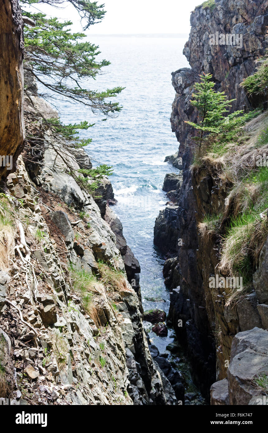 A deep cleft divides the cliffs of Hunters Head in Acadia National Park ...