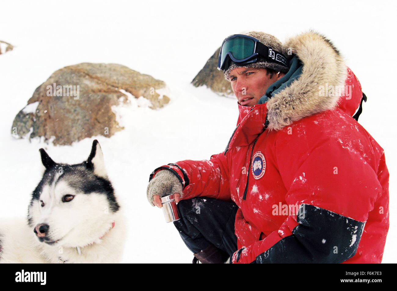 Paul walker dogs eight below hi-res stock photography and images - Alamy