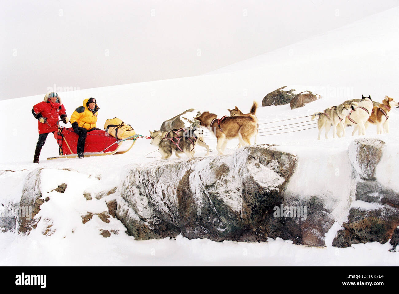 Paul walker dogs eight below hi-res stock photography and images - Alamy
