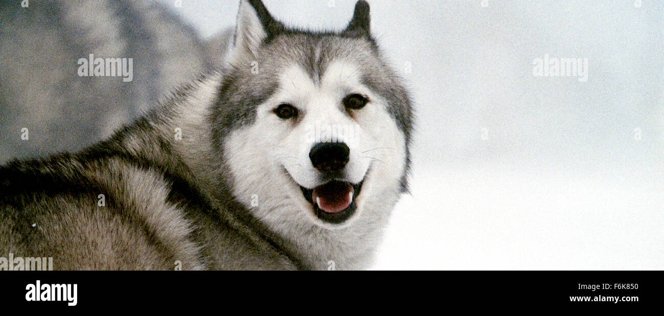 RELEASE DATE: February 17, 2006. MOVIE TITLE: Eight Below. STUDIO: Walt ...