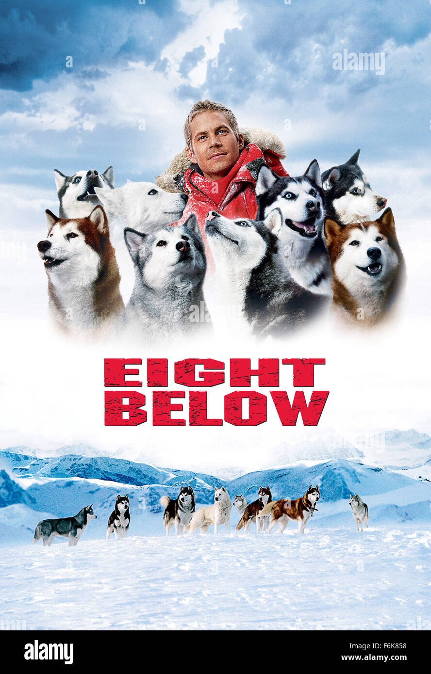 RELEASE DATE: February 17, 2006. MOVIE TITLE: Eight Below. STUDIO: Walt ...