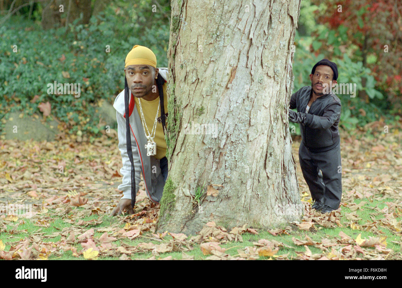 RELEASE DATE: 14 July 2006. MOVIE TITLE: Little Man - STUDIO ...