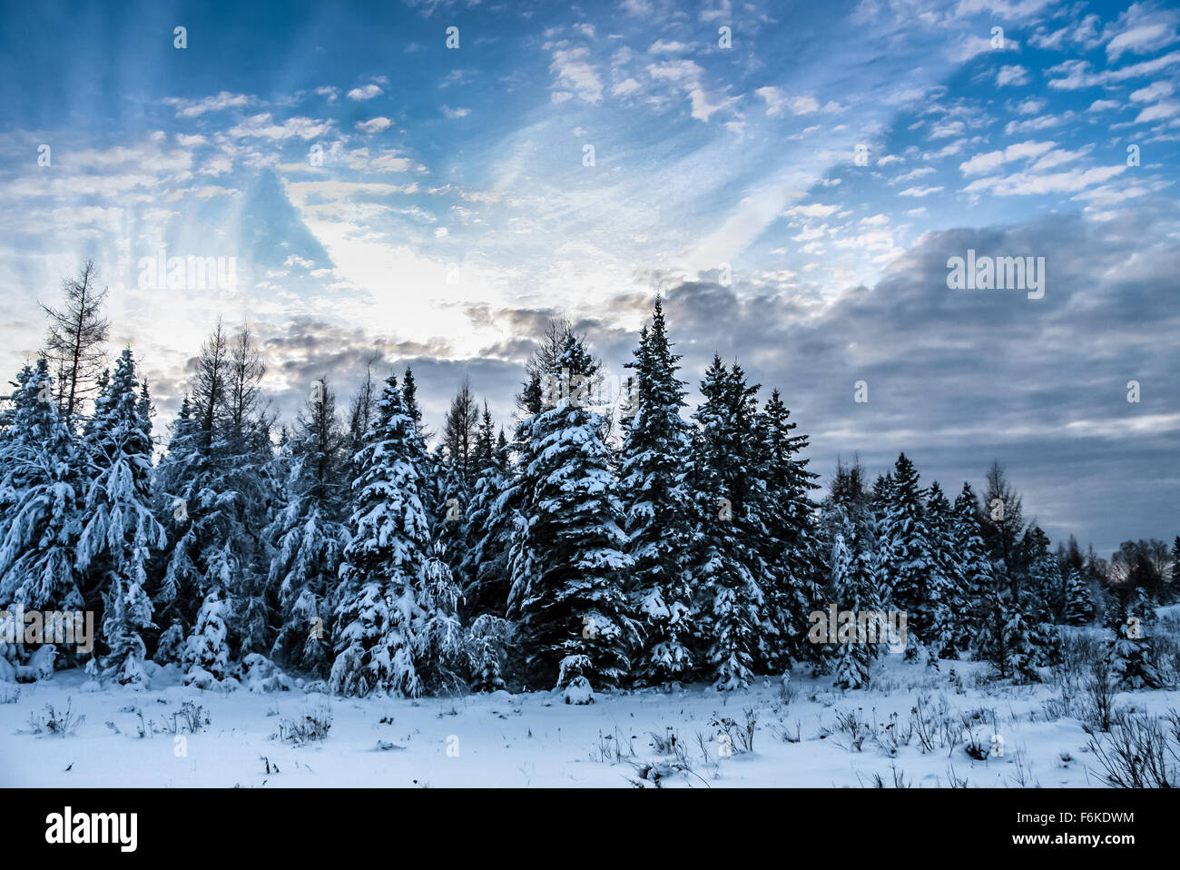 Quebec Winter Landscape