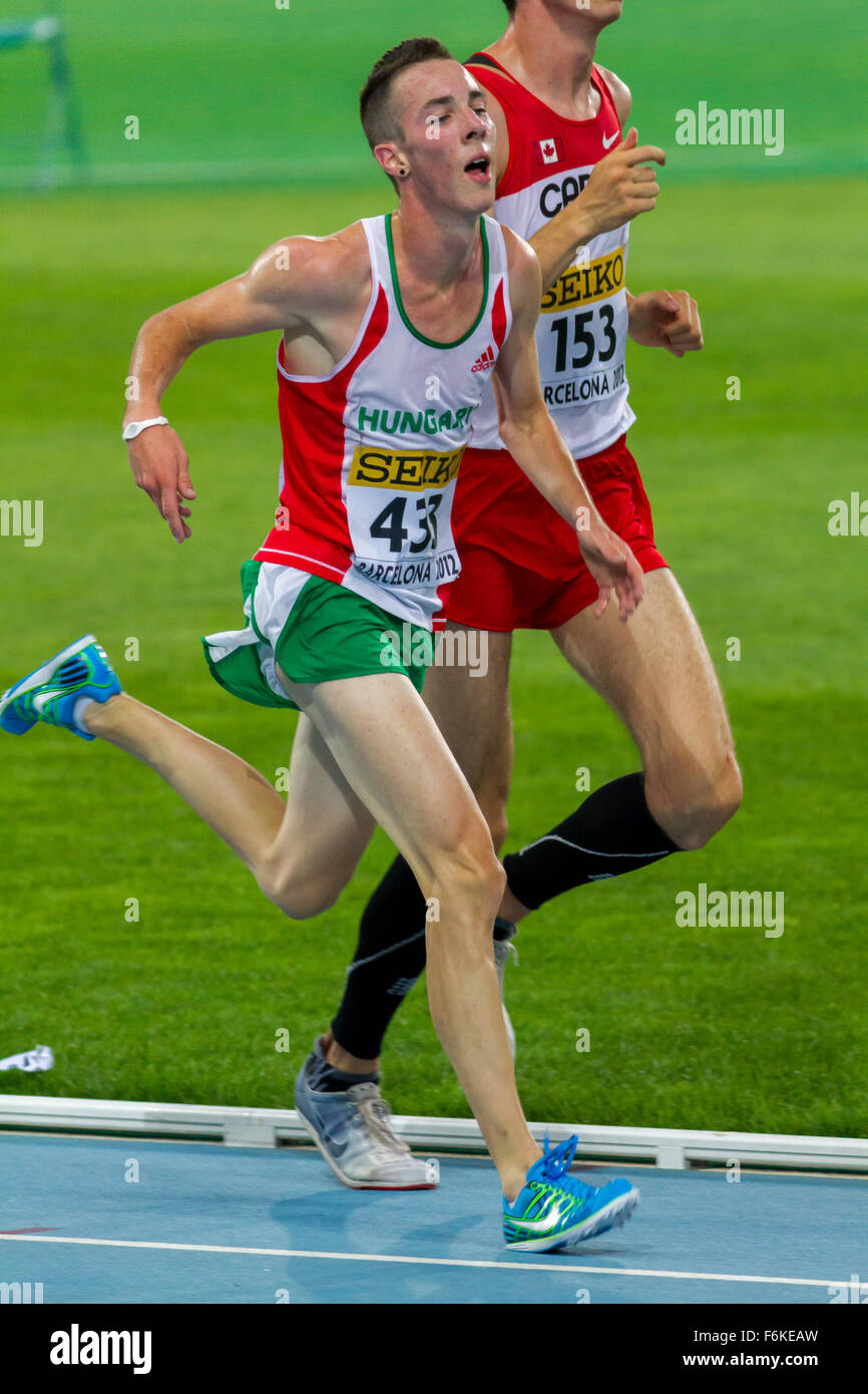 Toth hi-res stock photography and images - Alamy