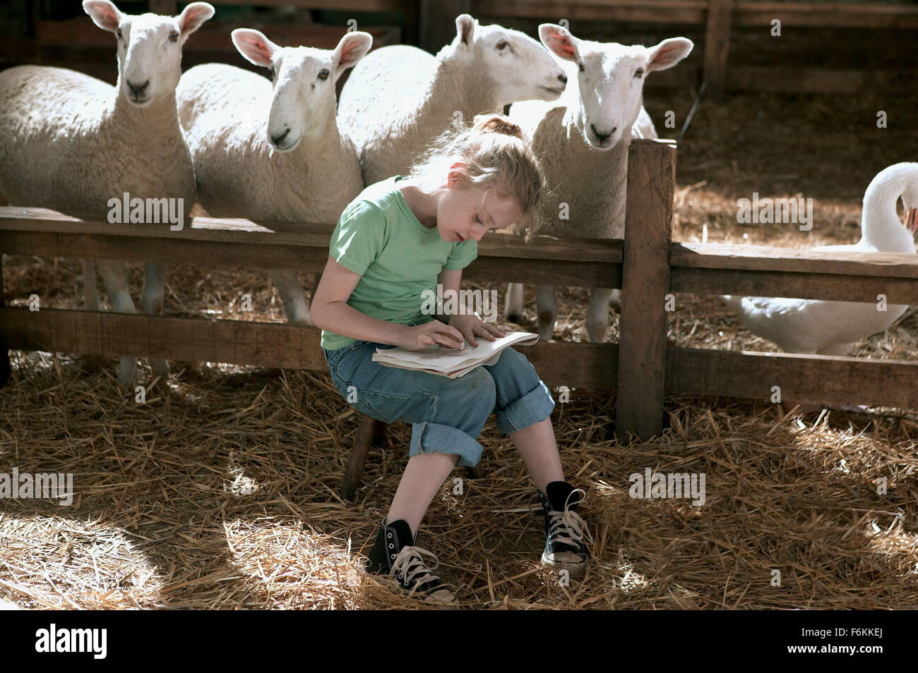 Charlottes web hi-res stock photography and images - Alamy