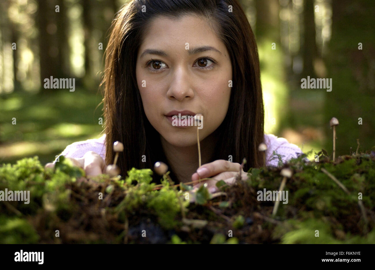 RELEASE DATE: Feb 10, 2007. MOVIE TITLE: Shrooms. STUDIO: Capitol Films ...