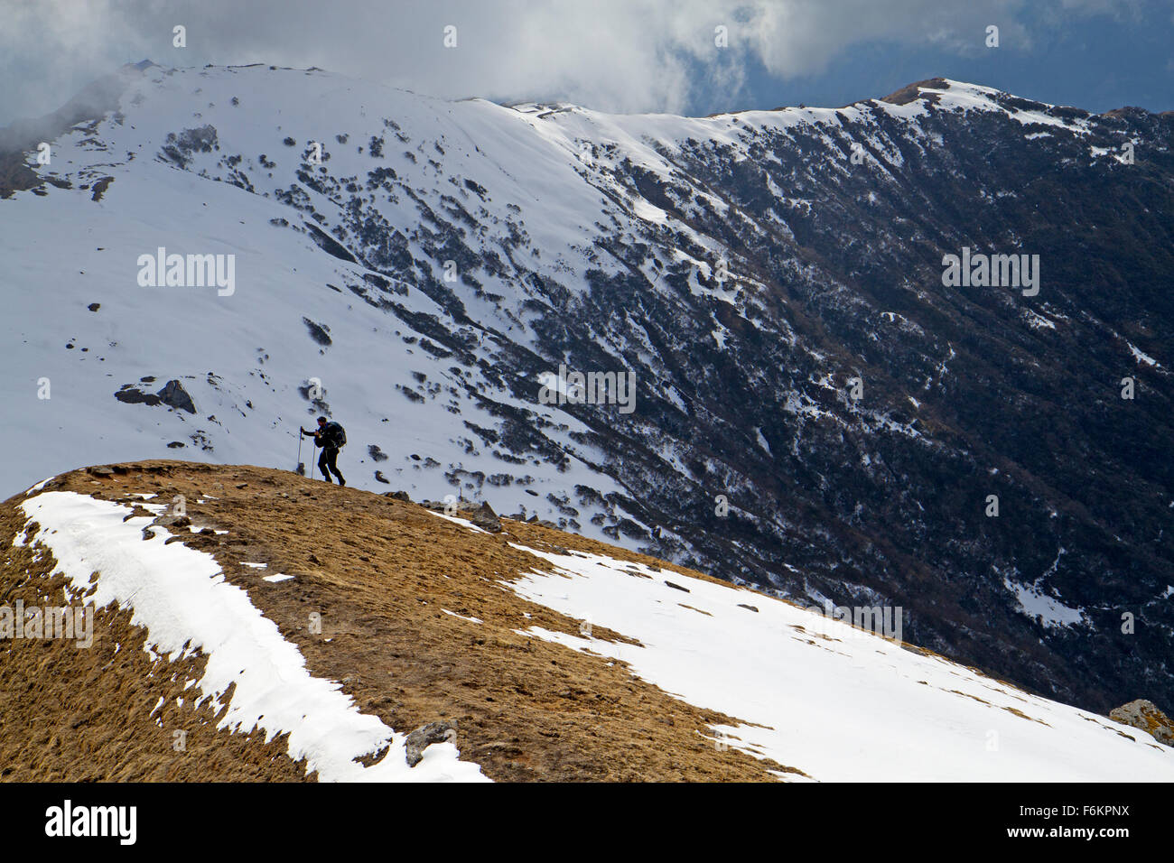 Trekker on Kopra Ridge in the Annapurnas Stock Photo - Alamy