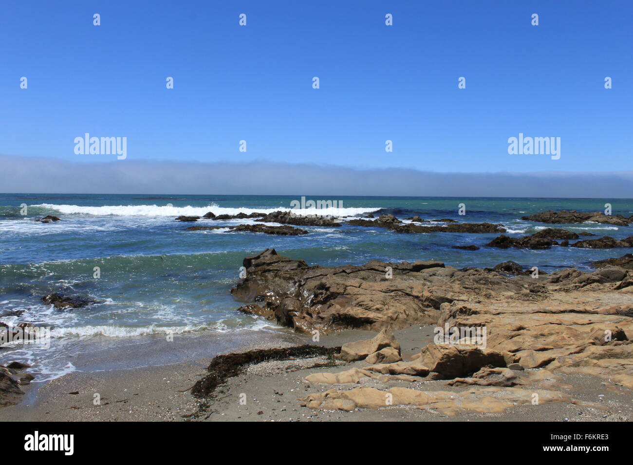Ground seaweed hi-res stock photography and images - Alamy