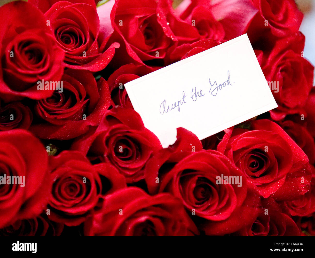 RELEASE DATE: October 19, 2007. MOVIE TITLE: Things We Lost in the Fire ...