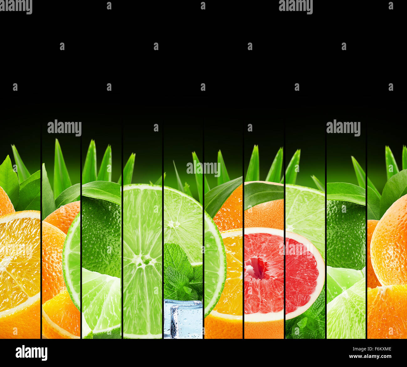 Rainbow colorful citrus fruits stripe collection on the black ...