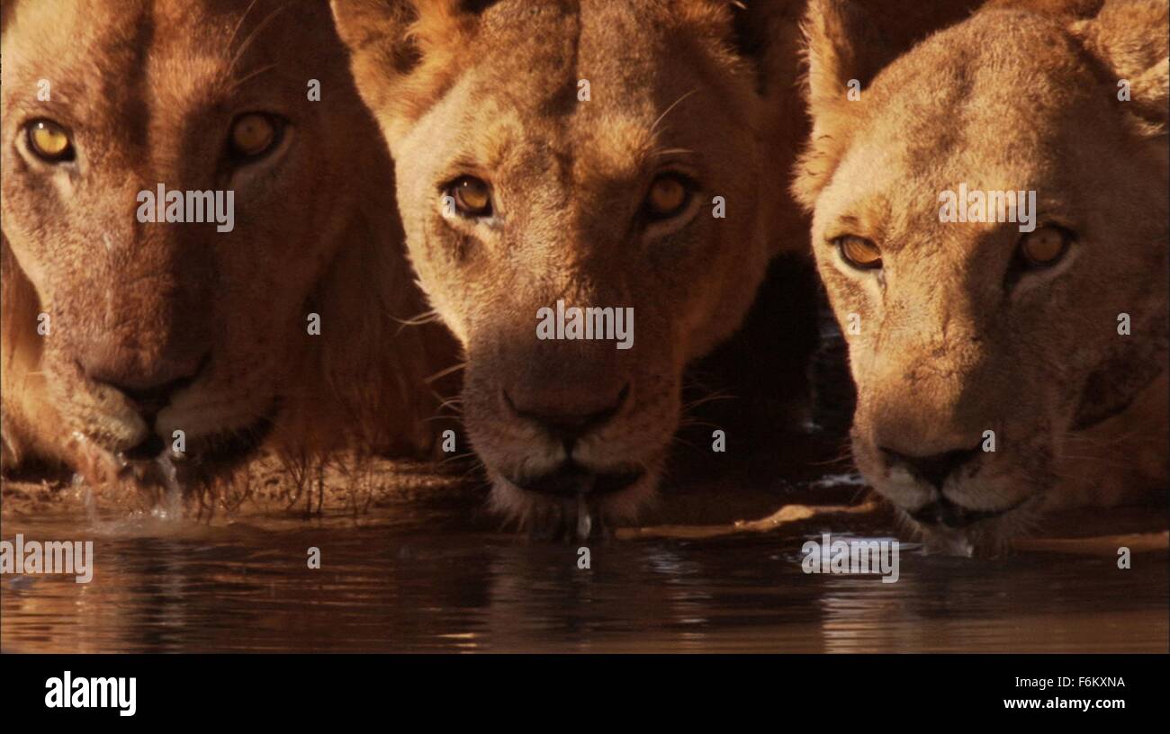 Bbc planet earth series hi-res stock photography and images - Alamy