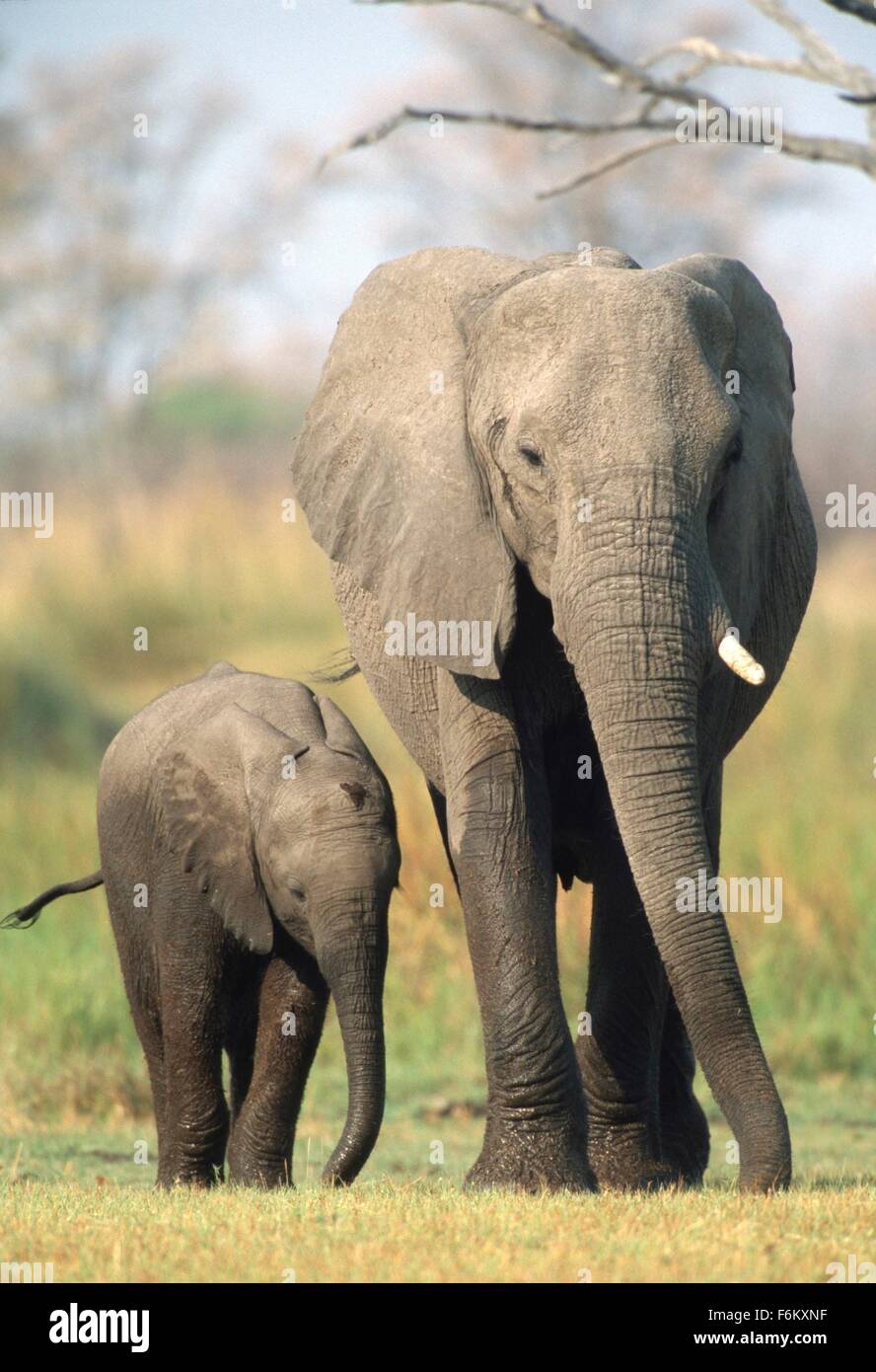 Planet Earth Tv Series High Resolution Stock Photography and Images - Alamy