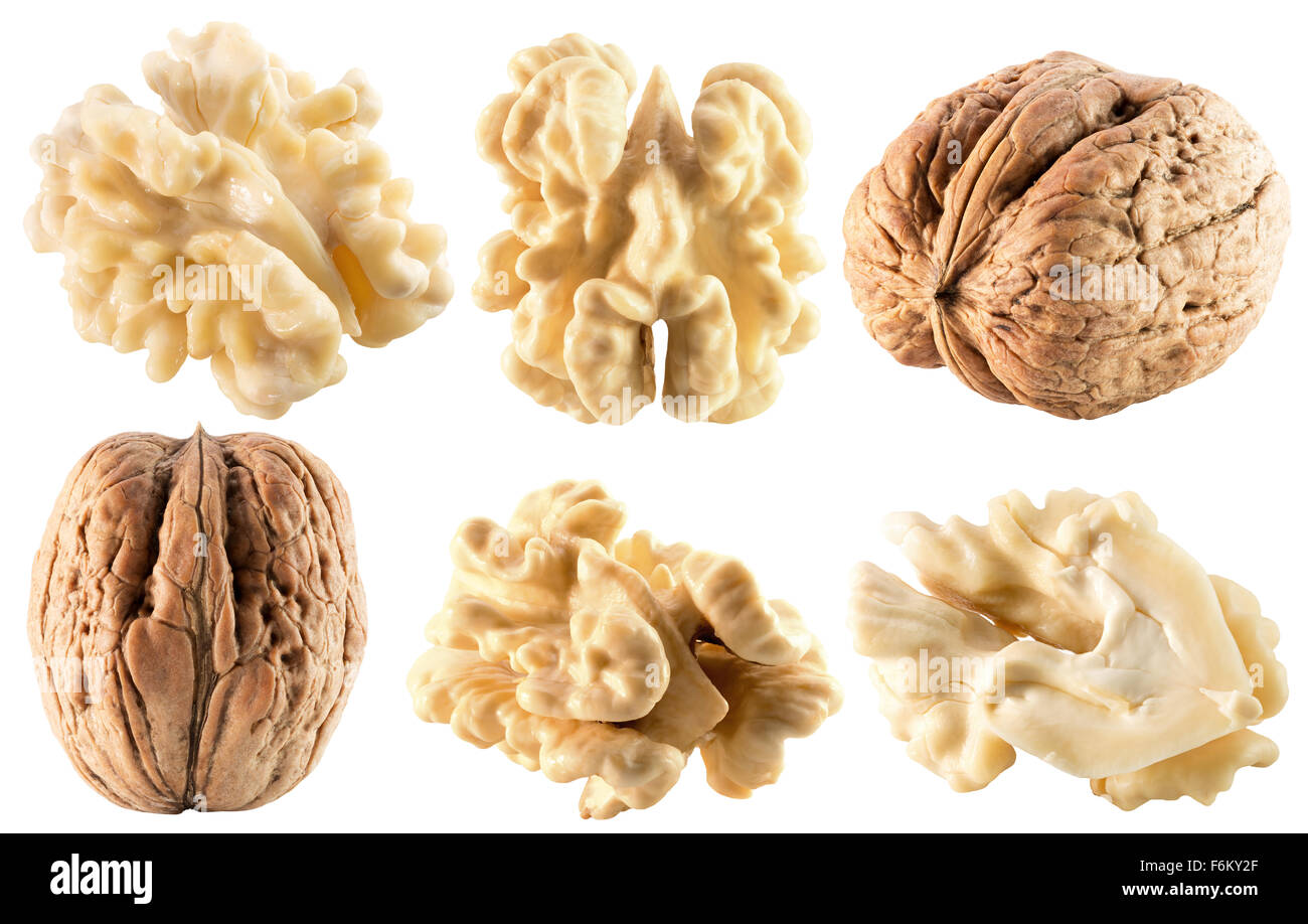 collection of walnuts isolated on the white background Stock Photo - Alamy